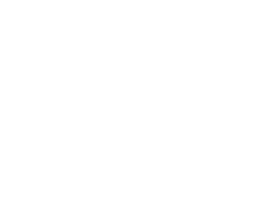 Rammerhead-Guide - WIP